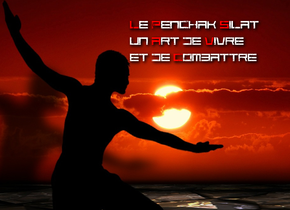 Le Penchak-Silat : Un art de vivre et de combattre - MMArtial