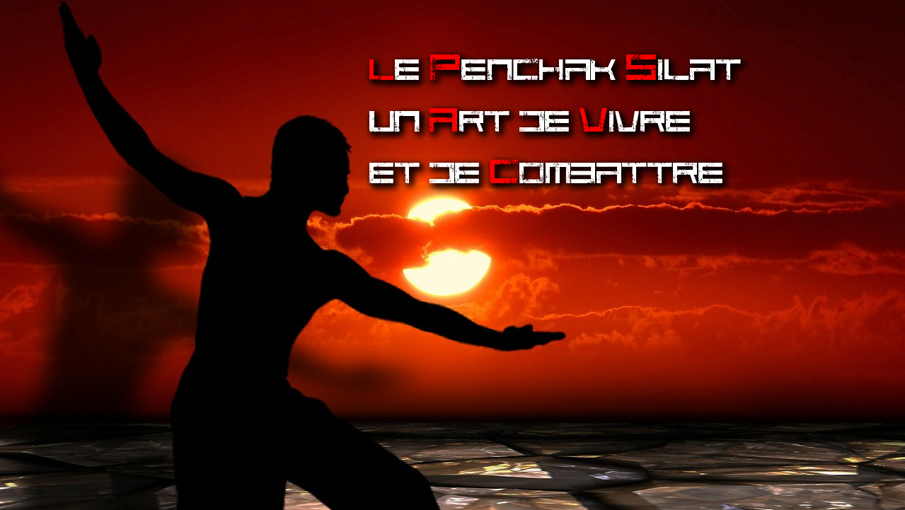 Le Penchak-Silat : Un art de vivre et de combattre - MMArtial